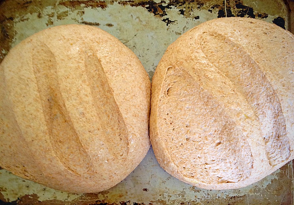 Wholemeal Cob Loaf - Feasting Is Fun