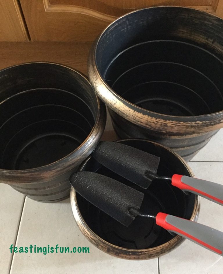 Wilko Gardening Product Review - Feasting Is Fun